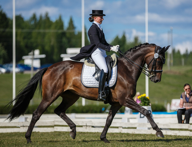 Harju - Kouluratsastuksen Kannatusyhdistys ry