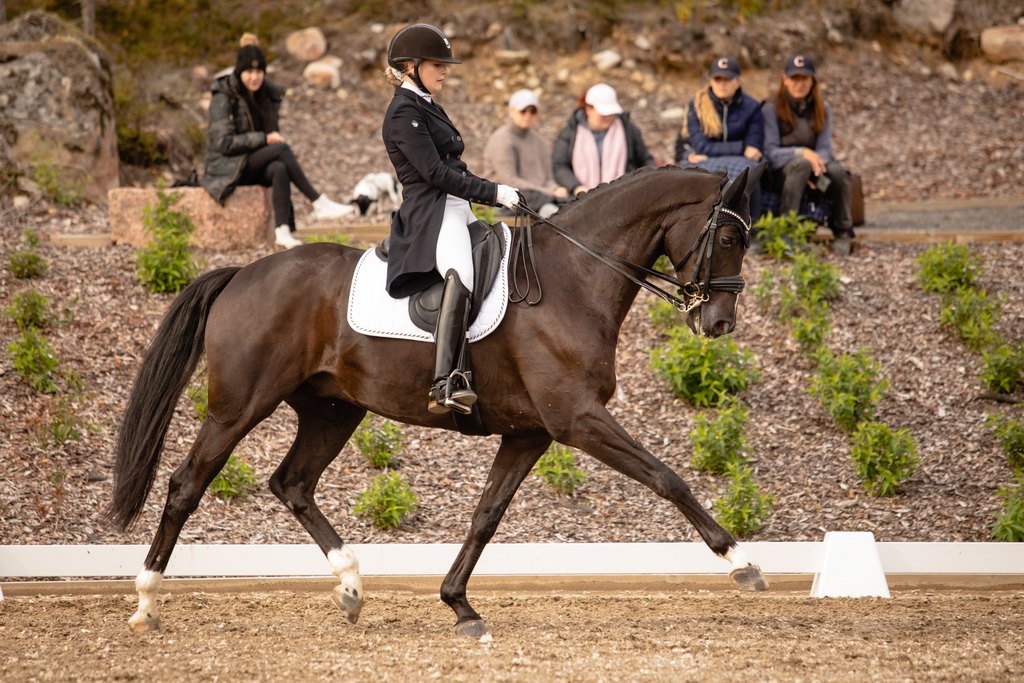 Woikoski SM-kilpailut 2020 - Kouluratsastuksen Kannatusyhdistys ry